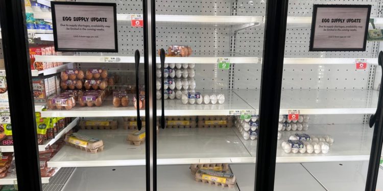 Egg prices hit a record high after the biggest jump in almost a decade ... Egg prices hit a record high after the biggest jump in almost a decade ...