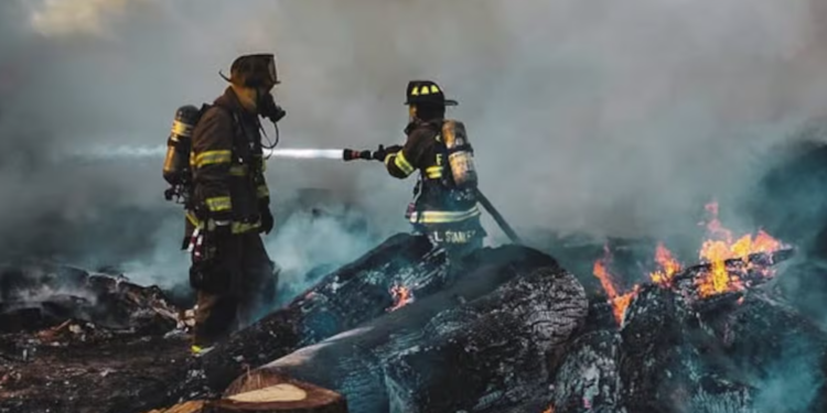 Evacuation Orders in Place Amid Massive South Carolina Wildfires – DNyuz Evacuation Orders in Place Amid Massive South Carolina Wildfires – DNyuz
