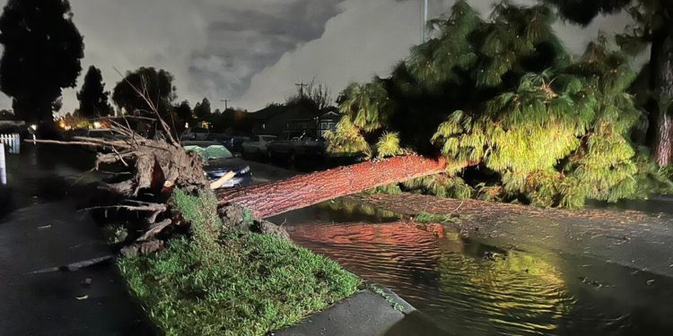 Tornado Reported in Los Angeles Area as Storm Batters California – DNyuz