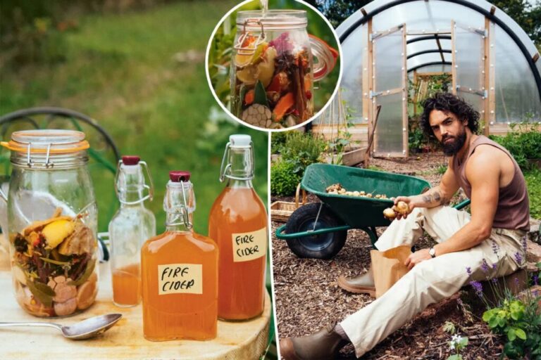 Celebrity chef shares ‘age-old’ fire cider recipe that ‘gives you a ...