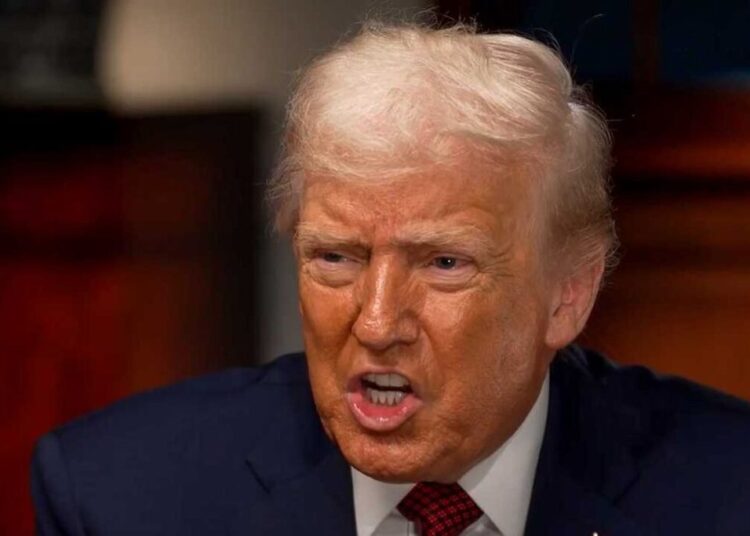 Trump insists birthright citizenship only ‘meant for the babies of ...