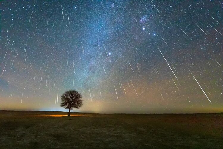 How to Watch the Leonids Meteor Shower – DNYUZ
