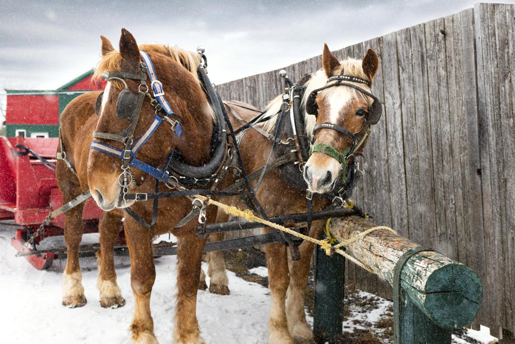 Super Nova: Surf and soak in East Coast Canada’s wet ’n’ wild Nordic ...