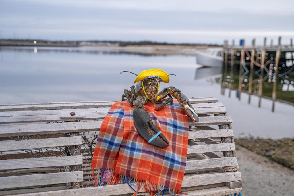 Super Nova: Surf and soak in East Coast Canada’s wet ’n’ wild Nordic ...