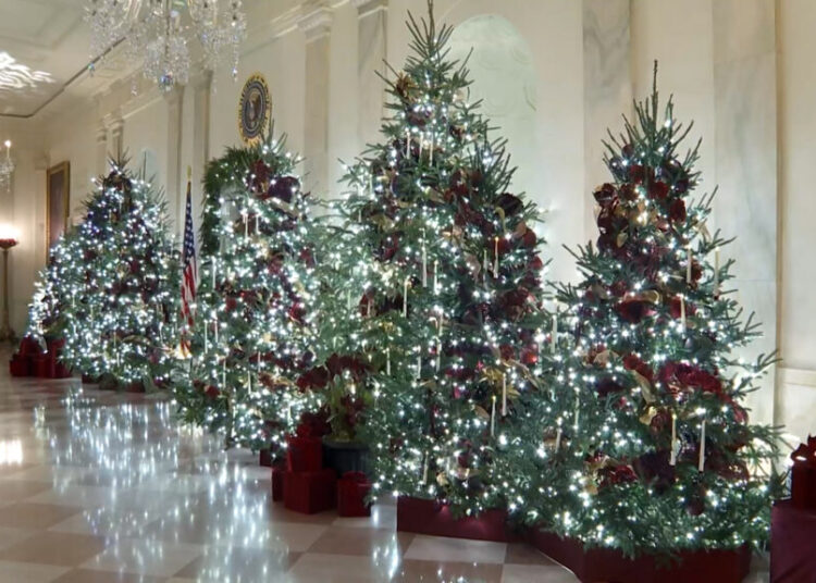 A pared-back White House Christmas — with a Trump LEGO portrait – DNYUZ