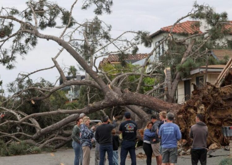 San Diego man killed by falling tree in third storm-related death – DNYUZ