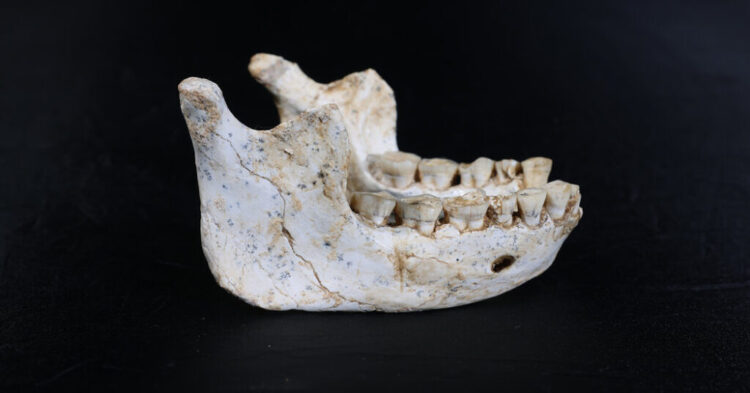 Moroccan Cave Fossils Yield a Possible Missing Link in Human Evolution ...