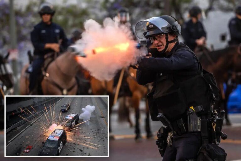 Cops slam ‘activist’ judge putting lives in danger with weapons ban ...