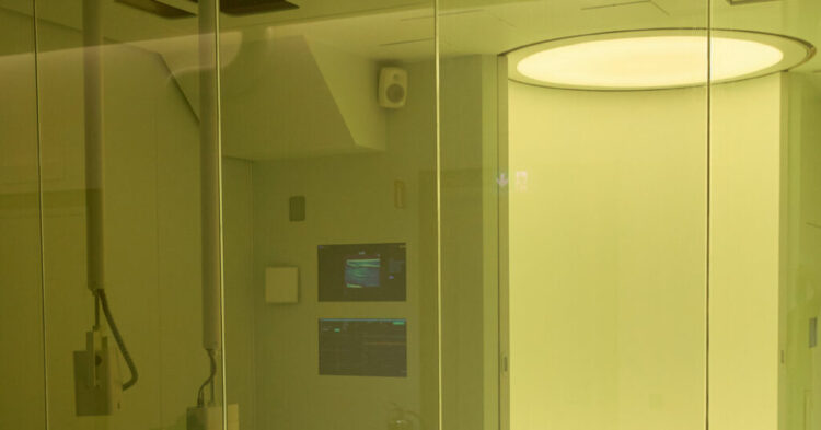 The Swedish Start-Up Aiming to Conquer America’s Full-Body-Scan Craze ...