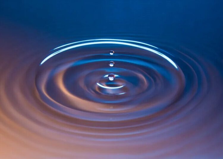 Why We Need Meditation in the AI Era – DNYUZ