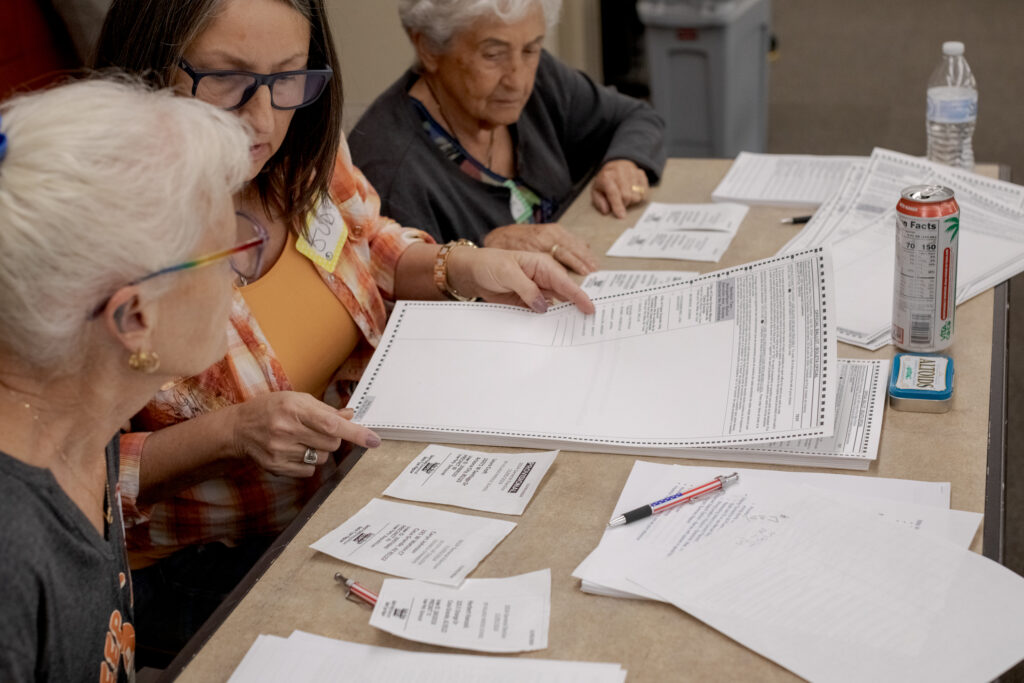 Tell alarmists this secret about voter ID – DNYUZ