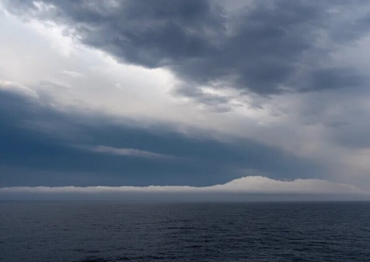 We just took a major step forward in protecting the oceans – DNYUZ