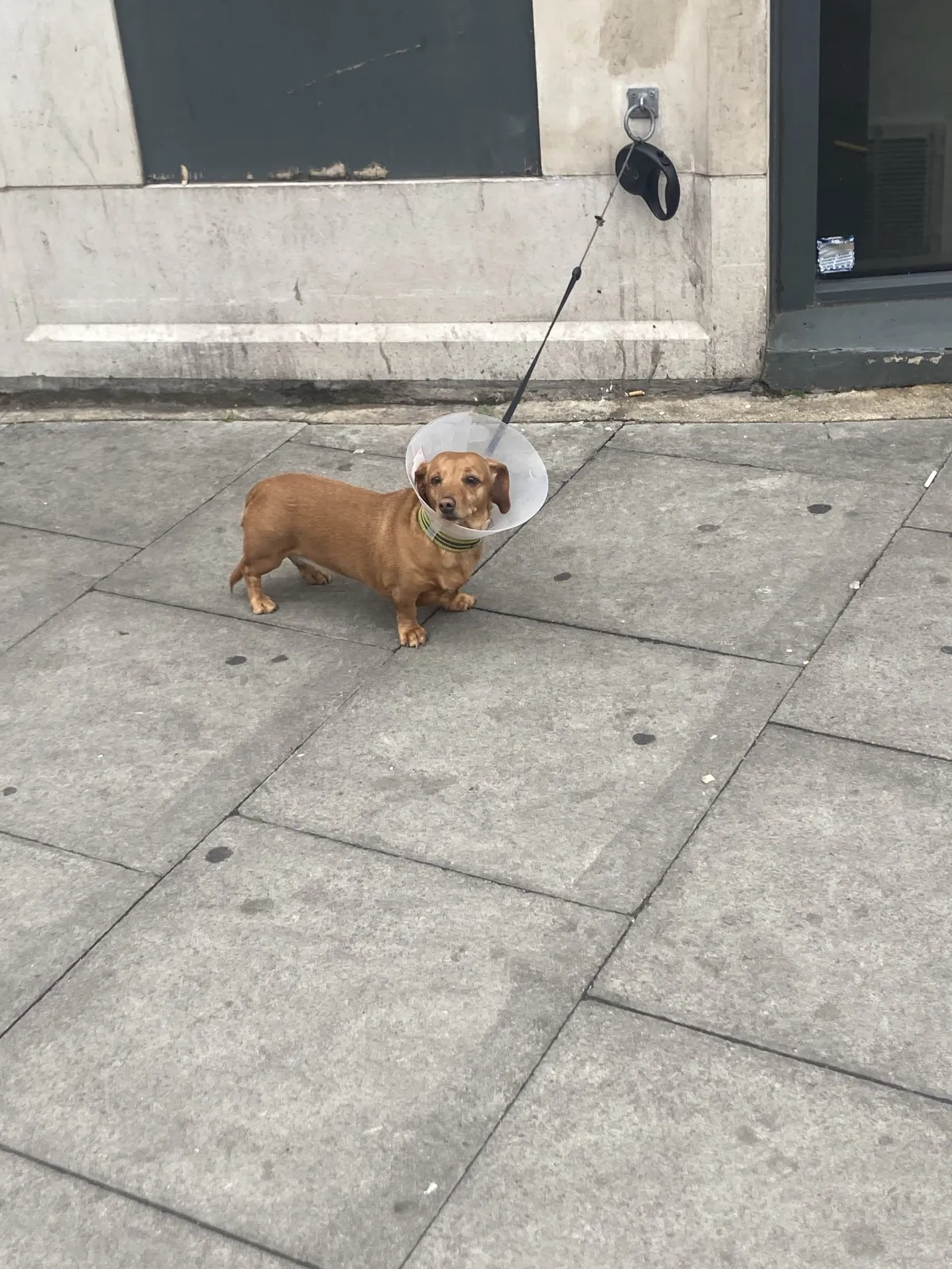 Diary of a Hitman: Winter 2025 – DNYUZ