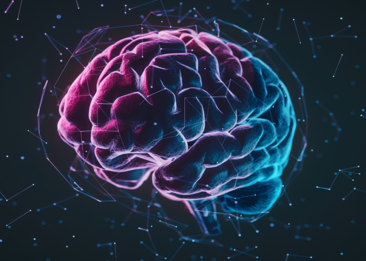 Your Brain Uses Less Energy When You’re Looking at Something Beautiful ...