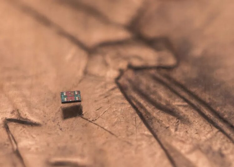 This Autonomous Aquatic Robot Is Smaller Than a Grain of Salt – DNYUZ