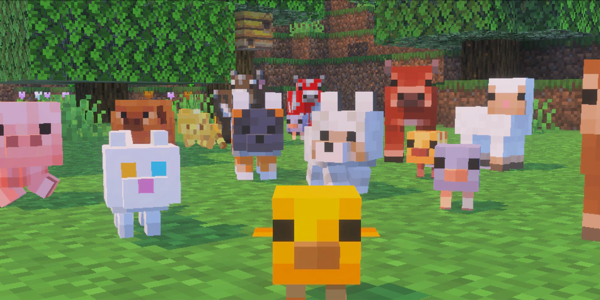 Minecraft Next Game Drop Includes Adorable Baby Animal Updates – DNYUZ