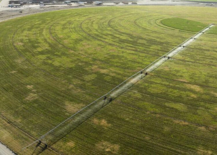 Arizona draws a line on groundwater use after letting Saudi-owned ...