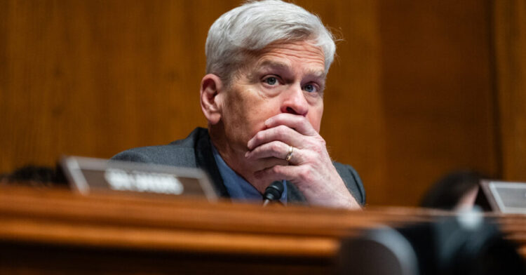 MAHA Group Pledges $1 Million to Help Defeat Senator Cassidy in ...