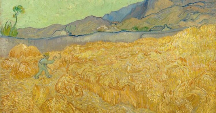Van Gogh and the Meaning of Yellow – DNYUZ
