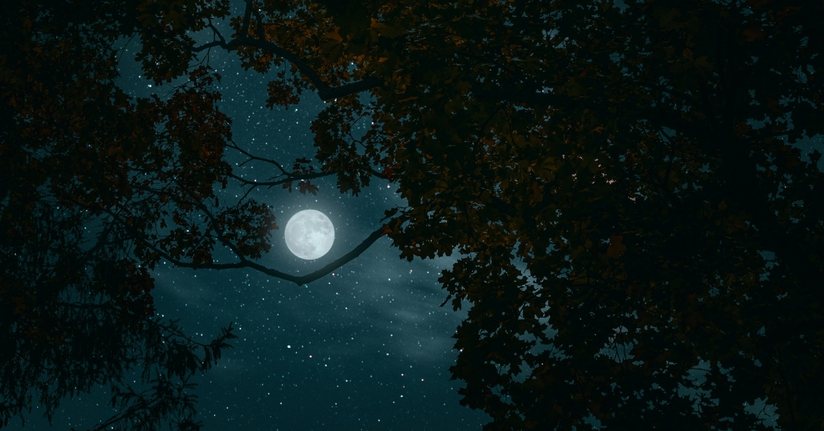 Tonight’s Moon Phase: February 17, 2026 – DNYUZ