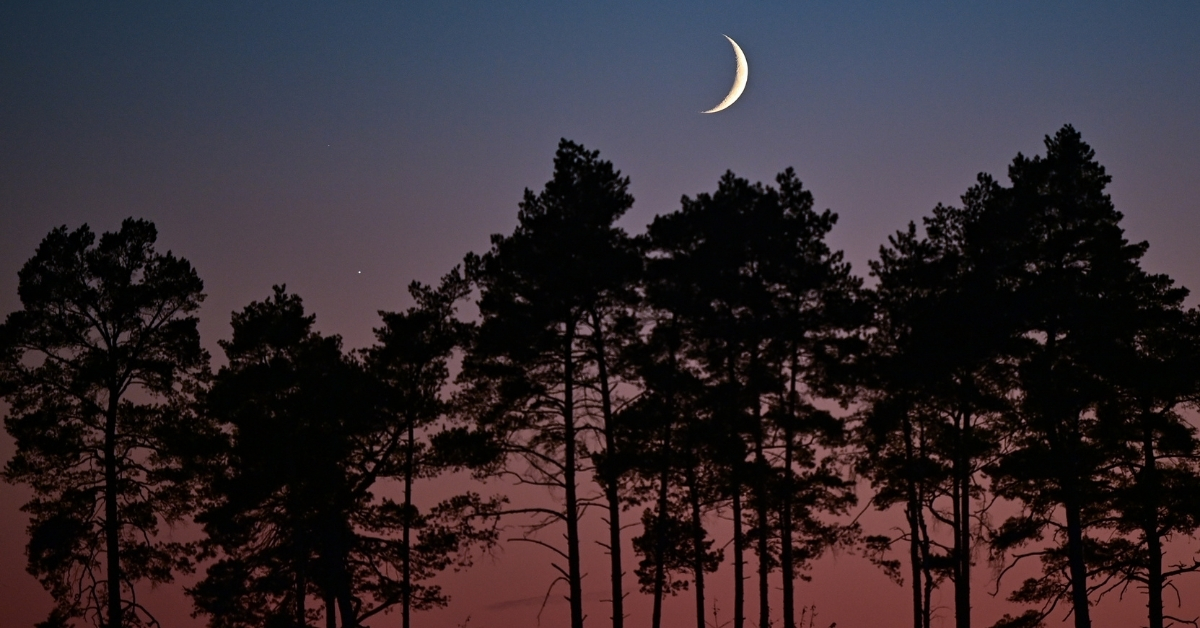 Tonight’s Moon Phase: February 19, 2026 – DNYUZ