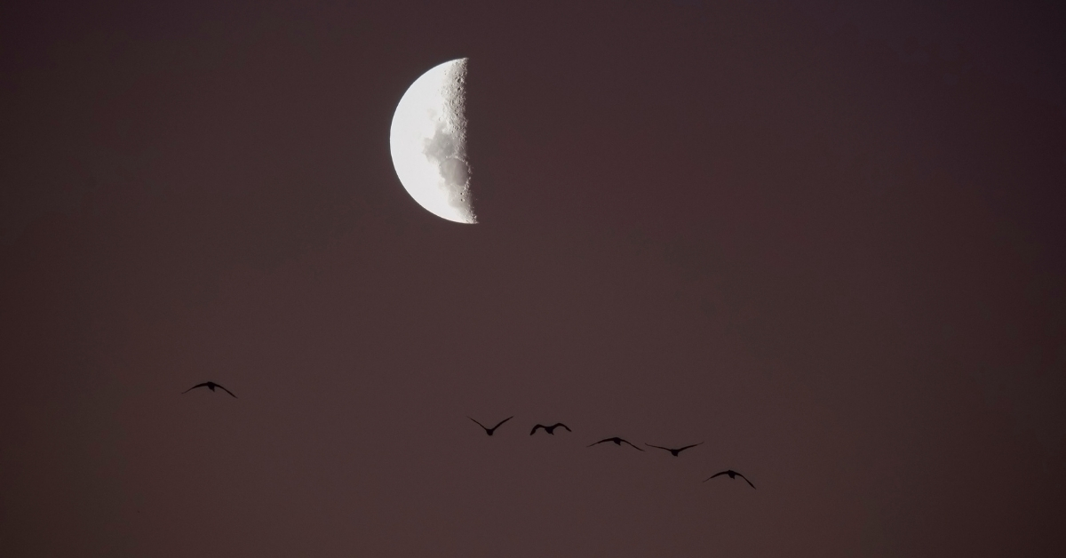 Tonight’s Moon Phase: February 9, 2026 – DNYUZ