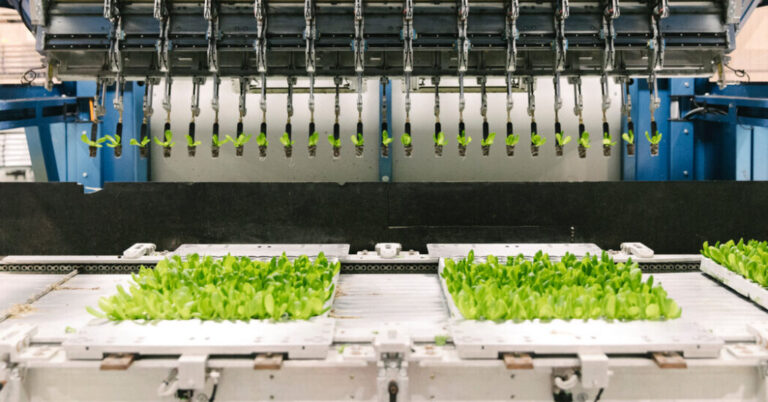 Vertical Farms Tried to Compete With Open Field Farming. It Isn’t Going ...