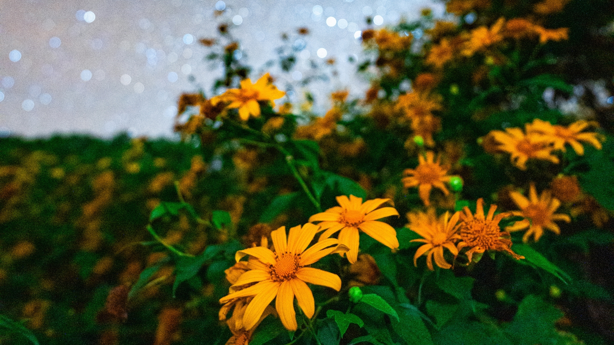 4 Zodiac Signs Set for Powerful Fresh Starts This Spring Equinox – DNYUZ