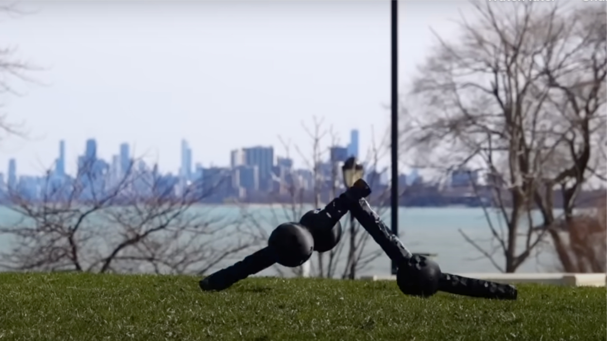 Scientists Taught an AI to ‘Evolve’ Robots, Then Built the Weirdest ...