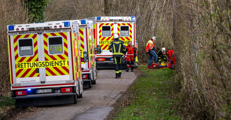 3 Dead After High Winds Topple Tree During Easter Egg Hunt in Germany ...