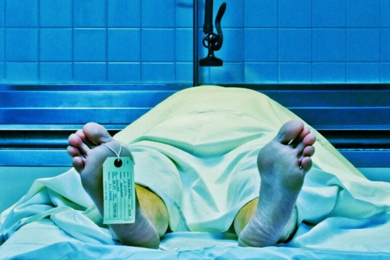 Trump Says a New Drug Can Bring Dead People Back to Life – DNYUZ