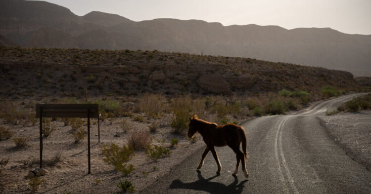 Trump Lifts Restrictions on Off-Road Vehicles on Public Lands – DNYUZ