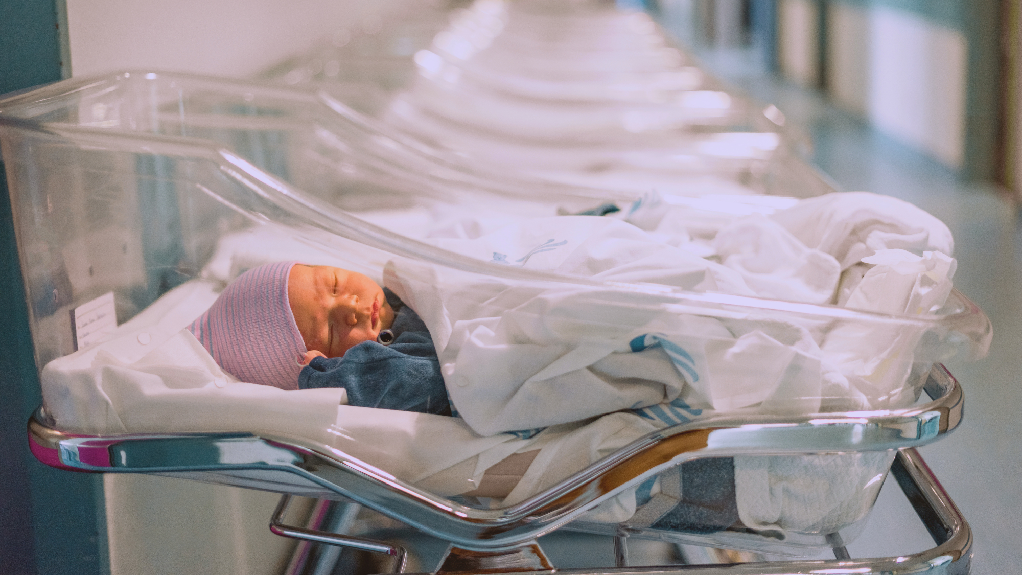 A New Baby Boom Is Coming. Here’s When It Will Happen. – DNYUZ
