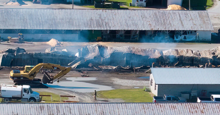 Barn Fire Kills 17 Horses at Harness Track in Saratoga Springs, N.Y ...