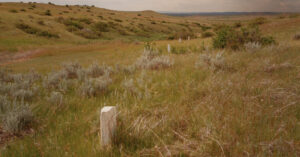 For Heirs of Custer and Sitting Bull, a 150-Year-Old Battle Is Personal ...