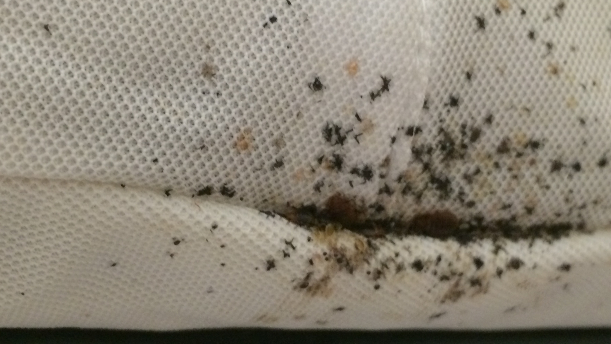 The Government Office Tasked With Fighting Bugs Is Currently Battling ...