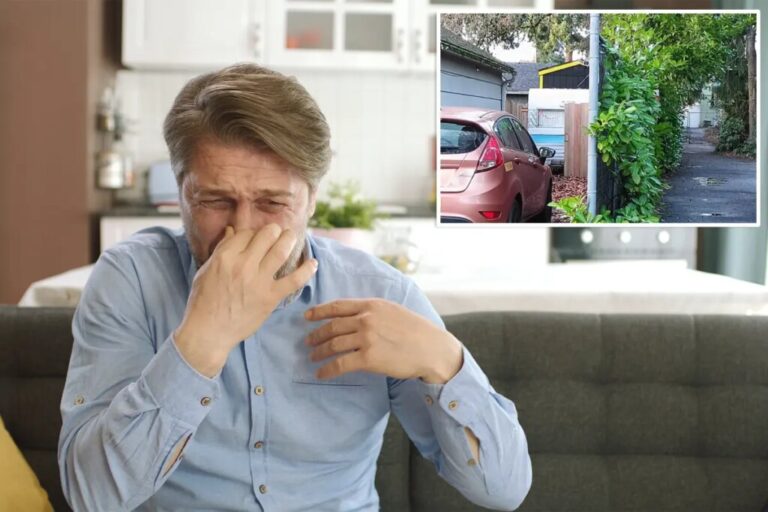 Portland couple sues neighbor over foul stench wafting from tiny home ...