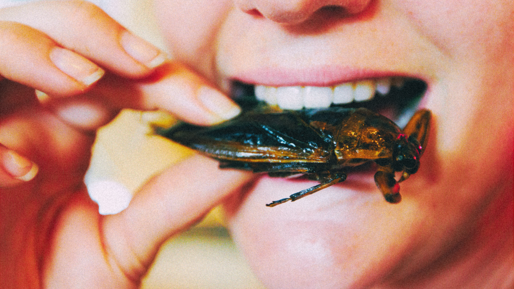 Researchers Discovered People Are Weirdly Chill About Eating Bugs – DNYUZ
