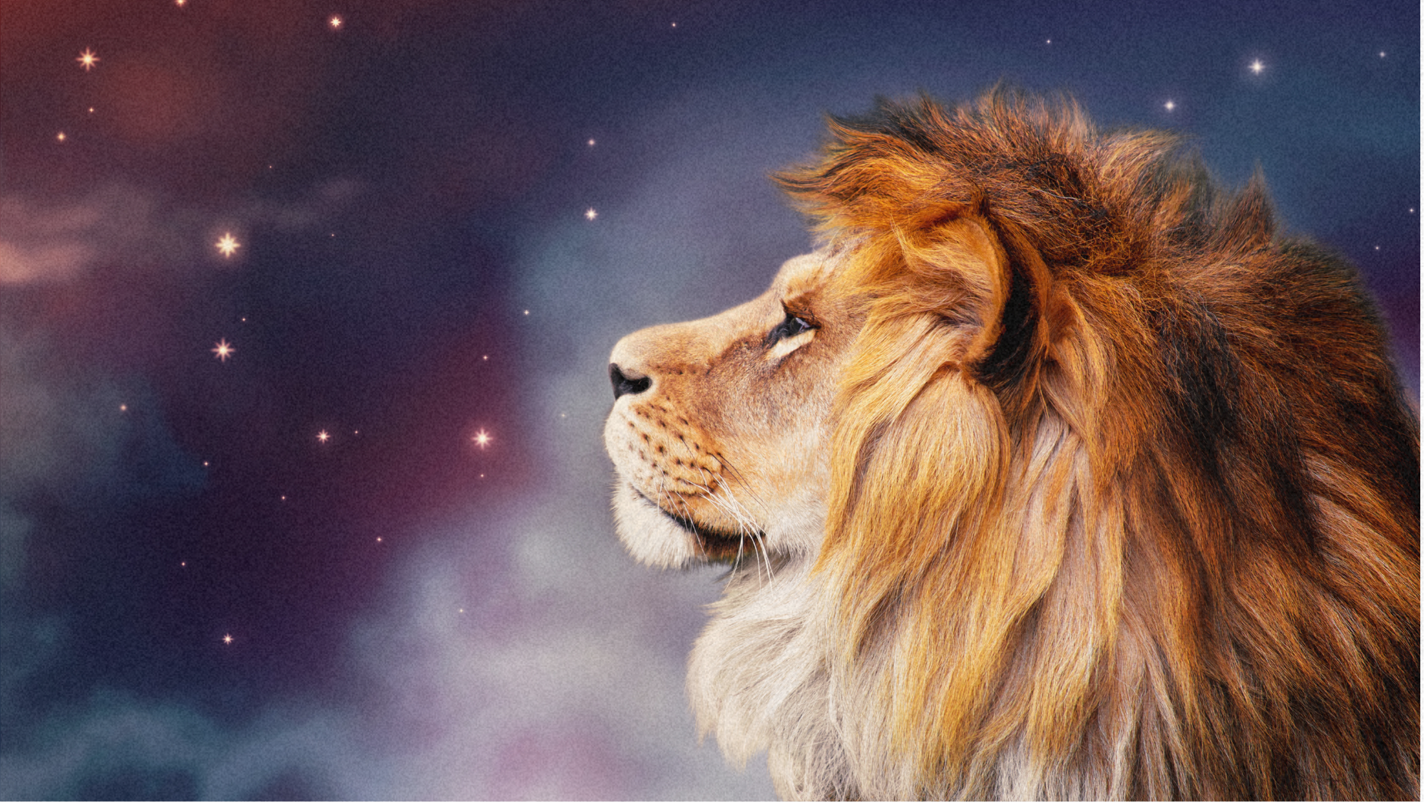 Astrologers Say the 2026 Lion’s Gate Portal Could Be More ...